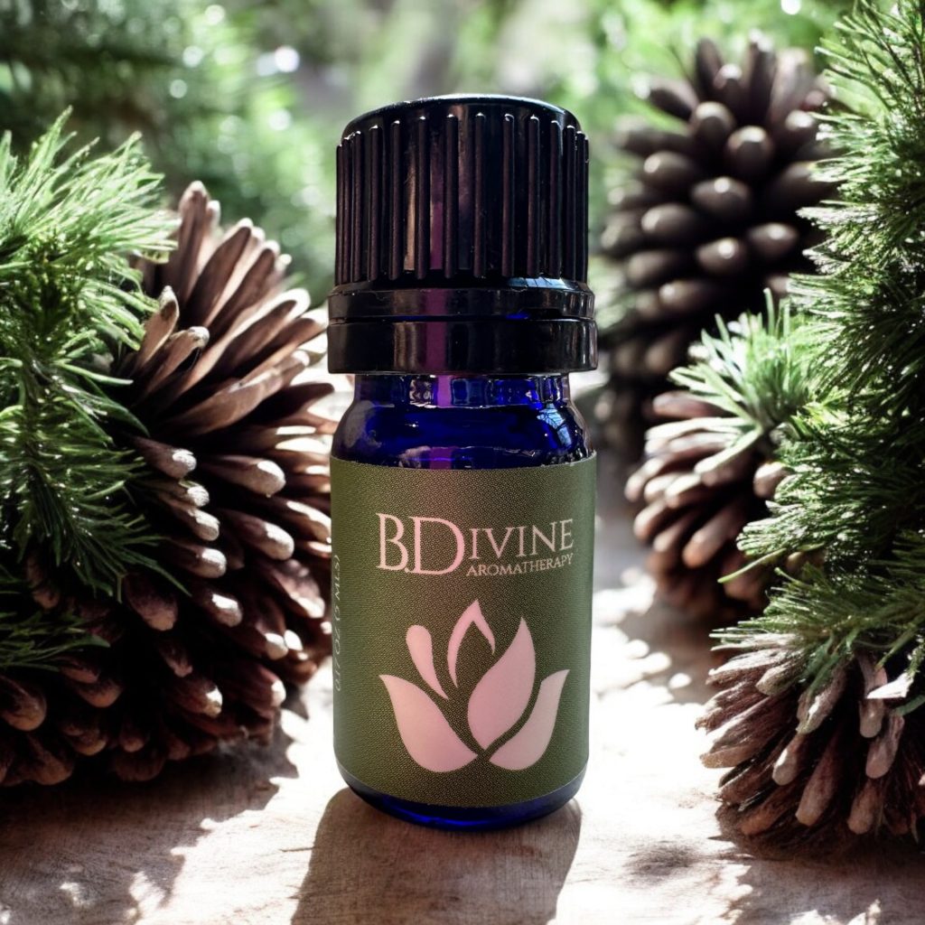 Forest Essential Oil Diffuser Blend | B. Divine Aromatherapy