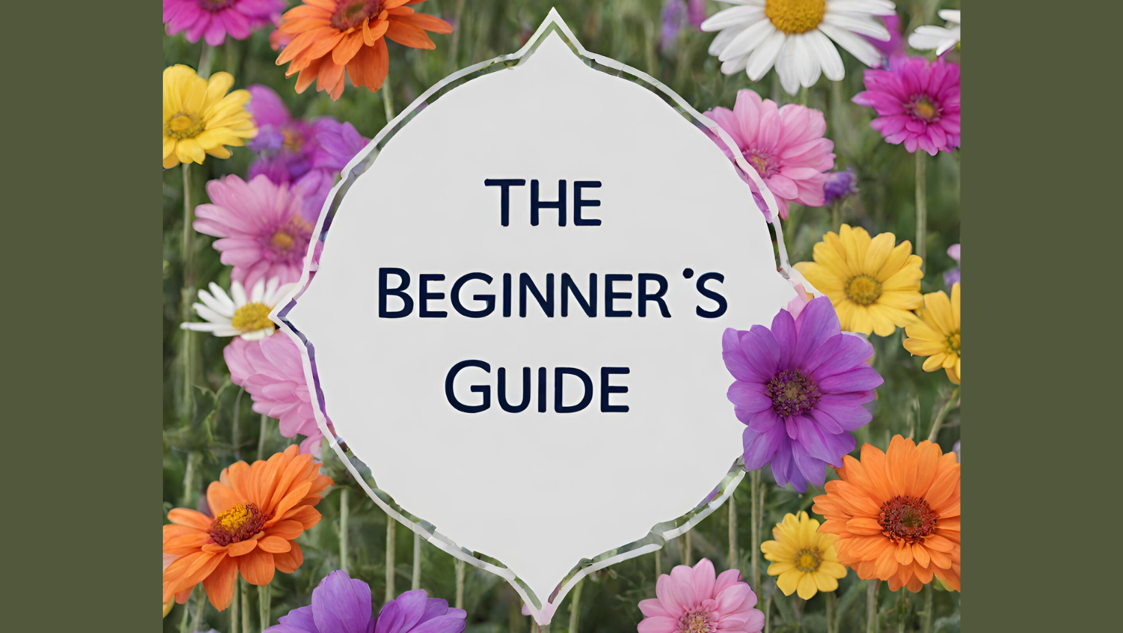 A Beginner S Guide To Essential Oils B Divine Aromatherapy